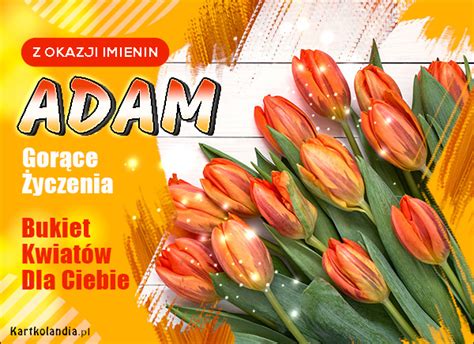 Kartki Kartki Dla Adama Kartki Imieninowe Imieniny Adam