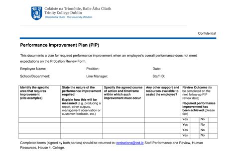 Employee Performance Action Plan Template