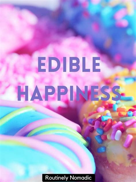 115 Tasty Donut Captions With Quotes And Puns Routinely Shares