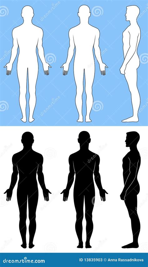 Homme Debout Nu Illustration De Vecteur Illustration Du Silhouette