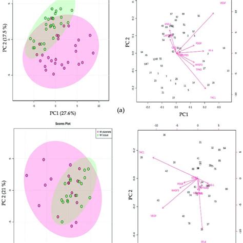 principal component analysis pca the pca shows the clustering download scientific diagram