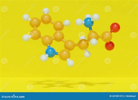 Triptófano Ltryptophan Trp W Molécula De Aminoácidos 3d Stock de