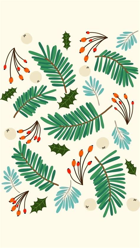 Holly And Berries On White Background With Green Leaves