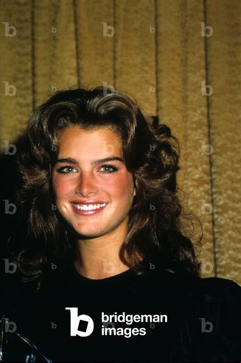 Image Of American Actress Brooke Shields In 1983 Photo