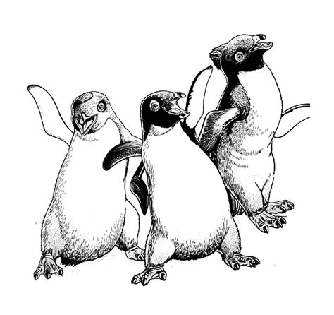 Dessin Pingouin Coloriages Imprimer