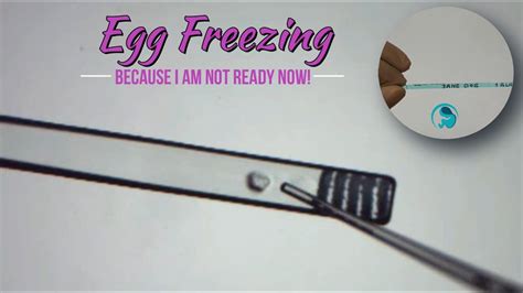 Egg Freezing Process In IVF Lab How Is Egg Frozen Stored In IVF