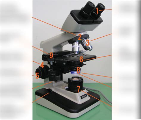 Brightfield Microscope Parts And Functions Diagram Quizlet