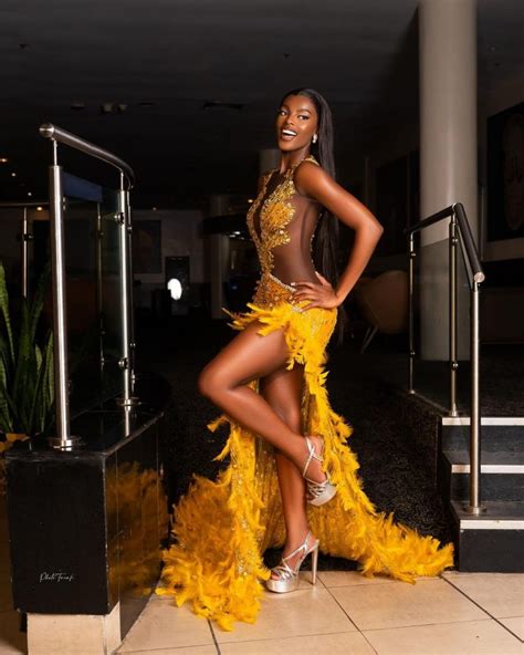 UPDATED Chidimma Adetshina Wins Miss Universe Nigeria 2024