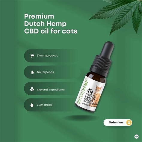 CBD Olie Voor Katten 4