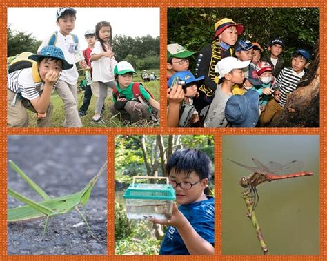 関西東海発2023年秋のおすすめ昆虫採集ツアーをご紹介 子供のためのキャンプ工場見学自然体験スキーツアーはそらまめキッズ