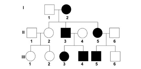 Pedigree Genetics