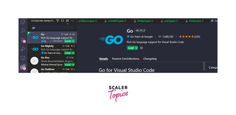 Configure Vs Code For Golang Scaler Topics