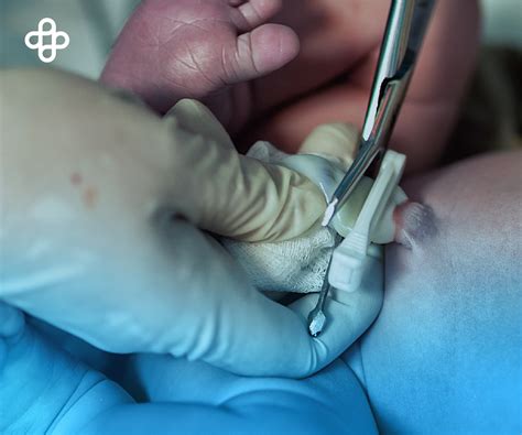 Qué son las células madre Centro Médico Eternal