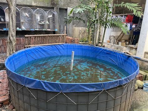 Jual Kolam Terpal Biofolk Budidaya Ikan Lele Kota Semarang