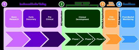 Drug Discovery Drug Development Process NorthEast BioLab