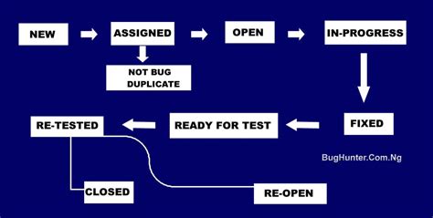 bug life cycle in software testing bughunter