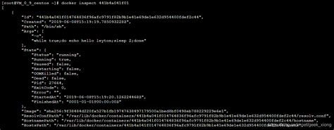 docker 容器container 常用的基本命令（重要）及实例（下） docker运行container的命令 csdn博客