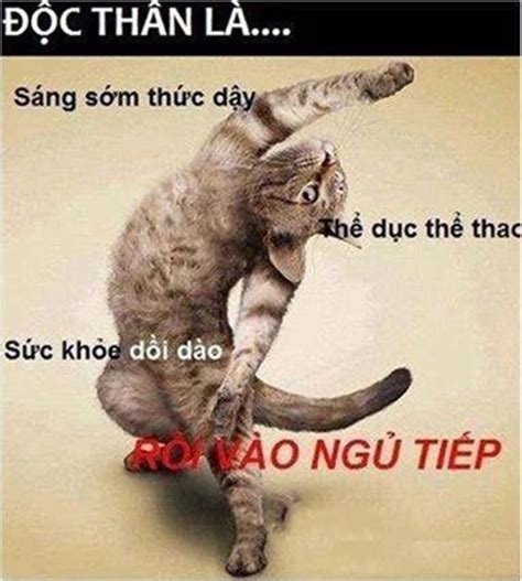 Tổng hợp 205 Hình ảnh hài hước vui nhộn làm bạn cười lăn cười bò
