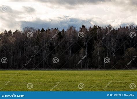 Forêt Et Ciel De Champ La Règle Des Tiers En Photographie Image stock