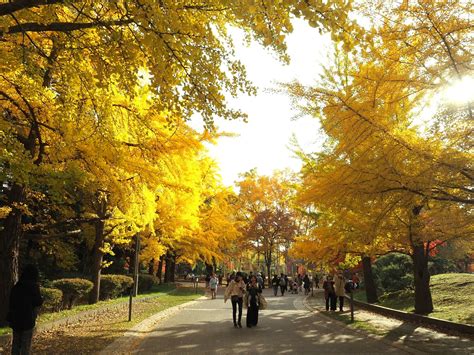 札幌 公園緑地さんぽ 中島公園 燃える秋 息を飲むような紅葉の風景 ひろまある 清田