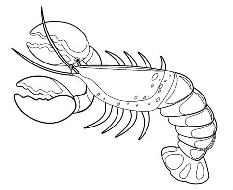 Desenhos De Lagosta Para Colorir Bora Colorir