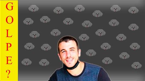 Cão Bem Resolvido Funciona Curso Cão Bem Resolvido Funciona Mesmo Cão
