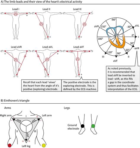 Diagram 12 Lead Ecg Placement Ecg Lead Placement Ekg Guide C