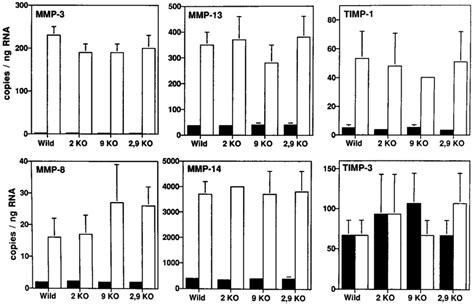 Analysis Of Mrna Levels Of Mmp Mmp Mmp Mmp Timp And