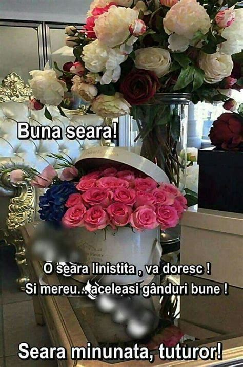 O Seara De Sambata Frumoasa Iubeste Viata Si Frumosul æåŠ äº
