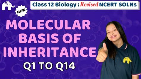 Molecular Basis Of Inheritance Class Biology Revised Ncert