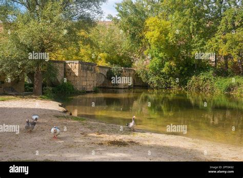 Paisajes De Patos Hi Res Stock Photography And Images Alamy