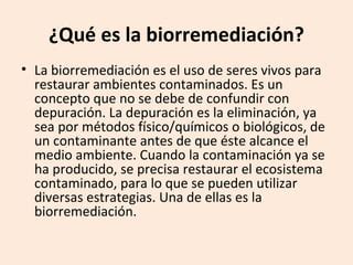 Qué es la biorremediación PPT