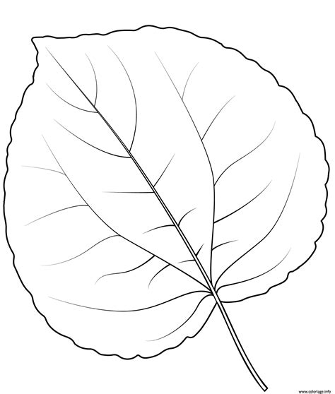 Coloriage Feuille Arbre Katsura Jecolorie