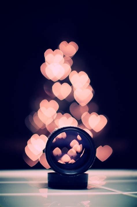 an extensive guide to creating bokeh photography photography wonderhowto