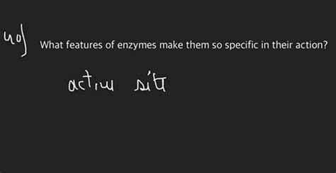 Which Type S Of Enzyme Specificity Are Best Accounted For By The