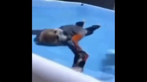 Morgz Mom Found Dead In Pool YouTube