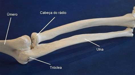 También miel homosexual radio osso do braço Humo paquete pistola