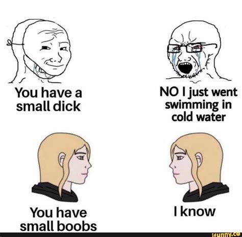 You Have A Small Dick You Have Small Boobs No I Just Went Swimming In