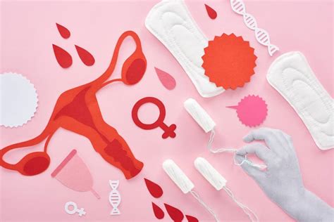 Qué es la menstruación Explícaselo a tus alumnos