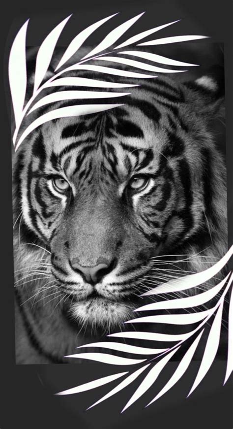 Pin on Salvamentos rápidos Tiger tattoo Tiger tattoo design Big cat