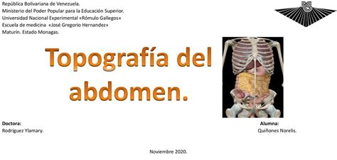 Topografía del abdomen Dra Carolina uDocz
