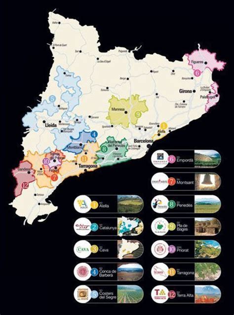 Conoce Las Denominaciones De Origen De Vino En Catalu A Vinotecavirtual