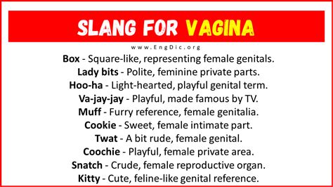50 Slang For Vagina Their Uses Meanings EngDic