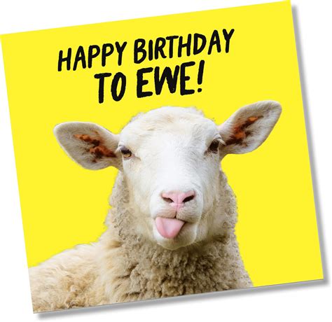 Punkcards Funny Birthday Card For Men Here S An Old Picture Of You
