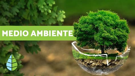 Elementos Del Medio Ambiente
