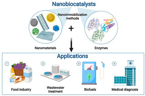Expanding The Scope Of Nanobiocatalysis And Nanosensing Applications