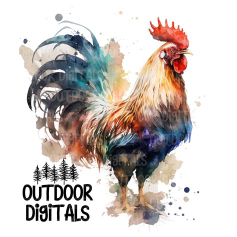 Rooster Png Watercolor Rooster Png Rooster Wall Art Rooster