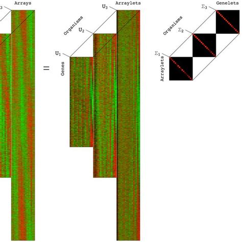 higher order generalized singular value decomposition ho gsvd in download scientific diagram