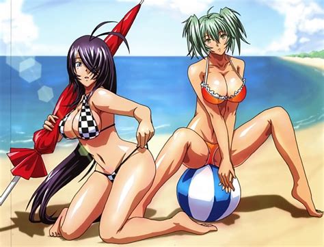 Ikkitousen Battle Vixens Shiozaki Yuji Image Zerochan