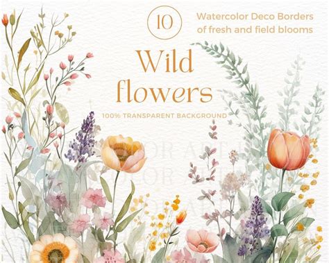 Watercolor Floral Borders Wild Flowers Floral Borders Watercolor